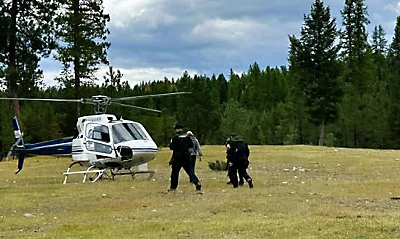 Bejsment - 63-latek przeżył atak grizzly dzięki umiejętnościom bokserskim